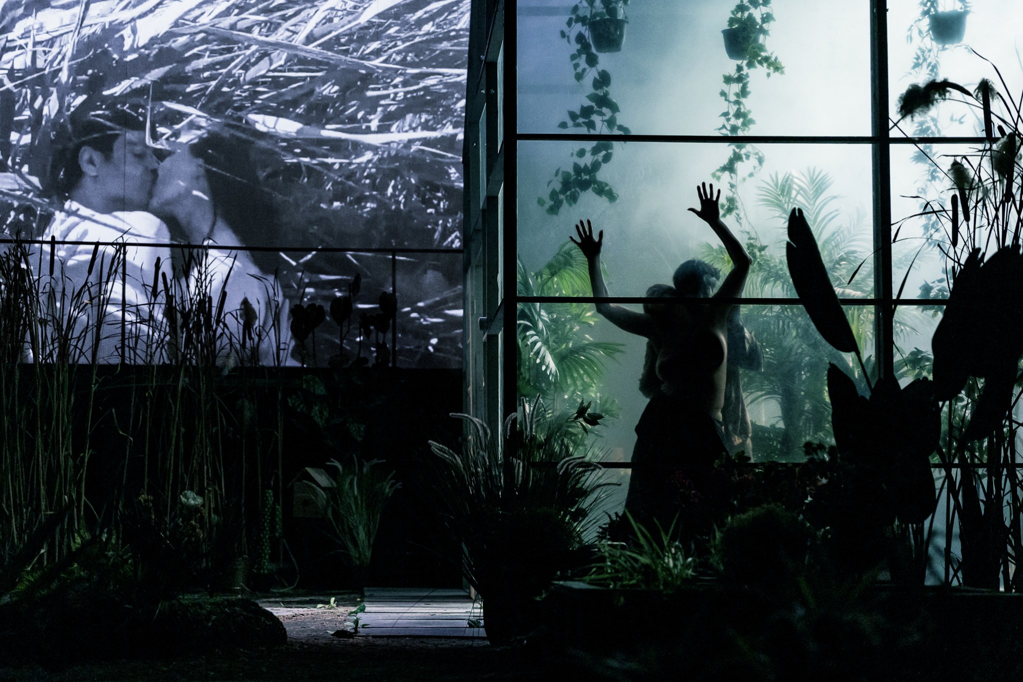 Herbarium by Radu Afrim and Simona Popescu – IRINA MOSCU