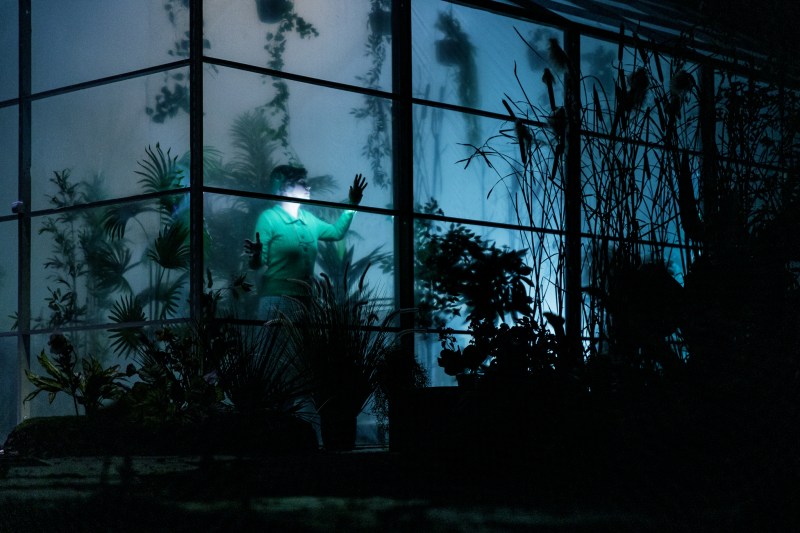 Herbarium by Radu Afrim and Simona Popescu – IRINA MOSCU