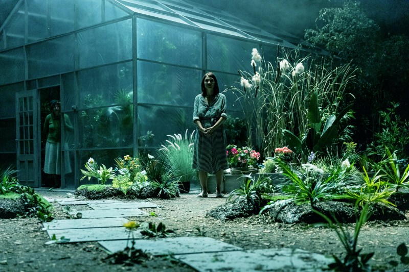 Herbarium by Radu Afrim and Simona Popescu – IRINA MOSCU